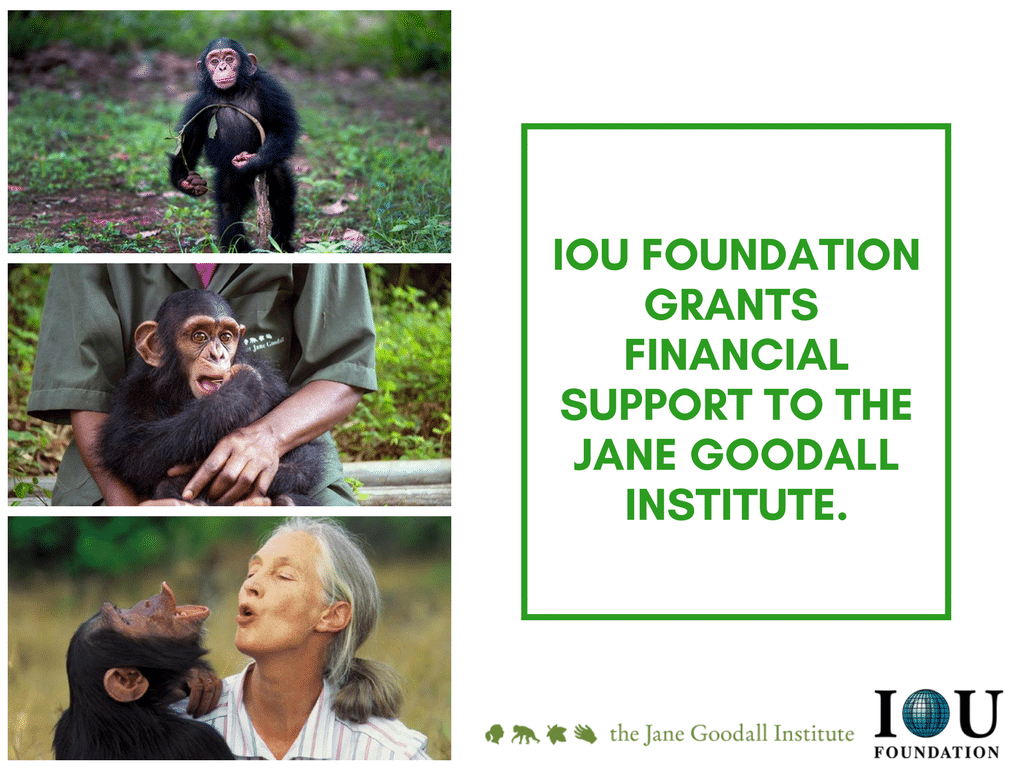 Intercultural Open University Foundation grants financial support to ...